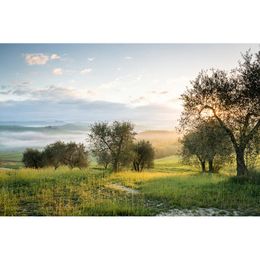 papermoon Fototapete &raquo;B&auml;ume in landschaft&laquo; bunt Vlies