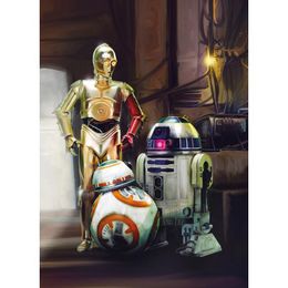 Komar Fototapete &raquo;STAR WARS Three Droids - Gr&ouml;&szlig;e 184 x 254 cm&laquo; bedruckt glatt Kinderzimmer bunt Papier
