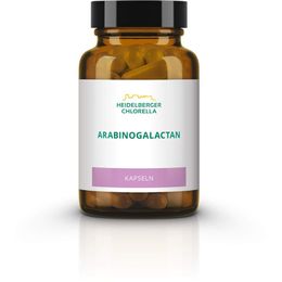 Arabinogalactan Kapseln 24 g