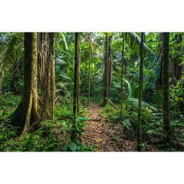 papermoon Fototapete &raquo;REGEN-WALD-AMAZONAS PERU MANO PARK WEG B&Auml;UME SYDAMERIKA&laquo; bunt Vlies