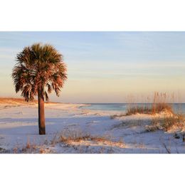 papermoon Fototapete &raquo;D&Uuml;NEN-MEER SEE K&Uuml;STE NORDSEE OSTSEE STRAND SYLT BAUM&laquo; bunt Vlies
