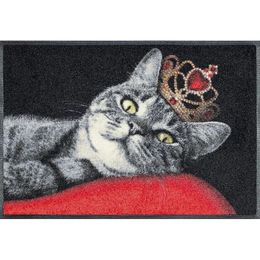 wash+dry by Kleen-Tex Fu&szlig;matte &raquo;Royal Cat&laquo; rechteckig 7 mm H&ouml;he Schmutzfangmatte, Motiv Katze, rutschhemmend, waschbar schwarz Kunstfaser