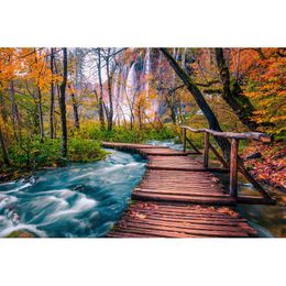 papermoon Fototapete &raquo;Steg im Wald&laquo; bunt Vlies