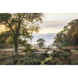 papermoon Fototapete &raquo;LANDSCHAFT-NATUR B&Auml;UME BERGE GEBIRGE WALD DSCHUNGEL XXL&laquo; bunt Vlies