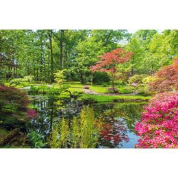 papermoon Fototapete &raquo;GARTEN-BLUMEN B&Auml;UME PFLANZEN STEINE WALD PARK BL&Uuml;TEN&laquo; bunt Vlies