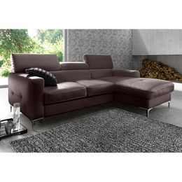 COTTA Ecksofa &raquo;Sammy L-Form&laquo; mit Kopfteilverstellung, wahlweise mit Bettfunktion braun Microfaser PRIMABELLE (100% Polyester);NaturLEDER in Sitz und 