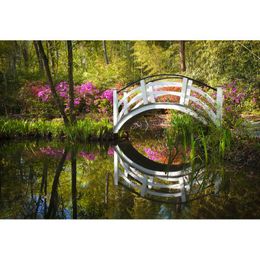 papermoon Fototapete &raquo;GARTEN-NATUR LANDSCHAFT WALD B&Auml;UME BLUMEN BR&Uuml;CKE SEE&laquo; bunt Vlies