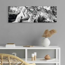 Home Affaire Deco-Panel &raquo;Tiger guckt dich an&laquo; grau MDF, Papier