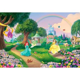 Komar Fototapete &raquo;Disney Princess Rainbow - Gr&ouml;&szlig;e 368 x 254 cm&laquo; bedruckt glatt Kinderzimmer bunt Papier