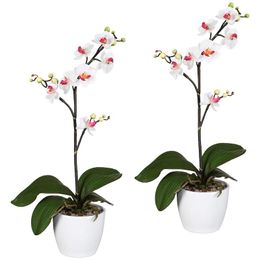 Creativ green Kunstpflanze &raquo;Orchidee Phalaenopsis&laquo; im Keramiktopf rosa Kunststoff, Polyester