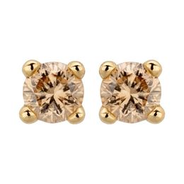 OROLINO Damen Paar Ohrstecker &raquo;585/- Gelbgold glanz 2 Brill. 0,10ct. braun&laquo;