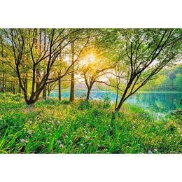 Komar Fototapete &raquo;Spring Lake - Gr&ouml;&szlig;e 368 x 254 cm&laquo; bedruckt glatt Wohnzimmer, Schlafzimmer gr&uuml;n Papier