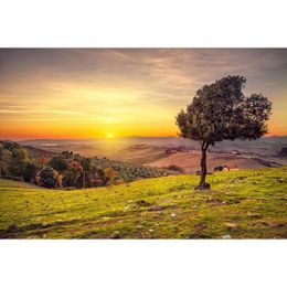papermoon Fototapete &raquo;Landschaft mit Baum&laquo; bunt Vlies