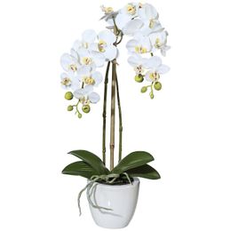 Creativ green Kunstpflanze &raquo;Orchidee Phalaenopsis&laquo; im Keramiktopf wei&szlig; Kunststoff