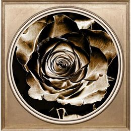 queence Acrylglasbild &raquo;Rose Sepia&laquo; Blumen Blumenbilder Gem&auml;lde Kunst Pflanzen Pflanzenbilder Fine Art-Print in Galeriequalit&auml;t bunt Acrylglas