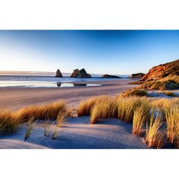 papermoon Fototapete &raquo;D&Uuml;NEN-WHARARIKI BEACH MEER SEE K&Uuml;STE STRAND SYLT BAUM&laquo; bunt Vlies
