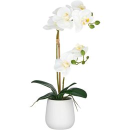 Creativ green Kunstorchidee &raquo;Orchidee Phalaenopsis&laquo; mit dauerhafter Bl&uuml;tenpracht wei&szlig; Kunststoff