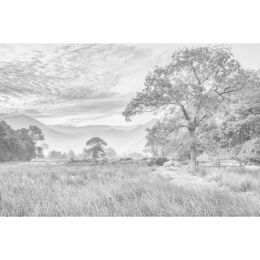 papermoon Fototapete &raquo;LANDSCHAFT-SCHWARZ WEI&szlig;NATUR B&Auml;UME BERGE GEBIRGE WALD&laquo; bunt Vlies