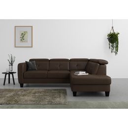 Sit & More sit&more Ecksofa &raquo;Belluci L-Form&laquo; inklusive Federkern, wahlweise mit Bettfunktion und Bettkasten braun