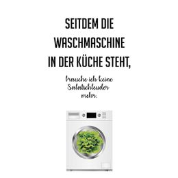 queence Wanddekoobjekt &raquo;Salatschleuder&laquo; Stahlschild, Blechschild, Spruch, Witzig, Wanddeko, retro, 20x30cm gr&uuml;n Stahl
