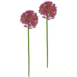 I.GE.A. Kunstblume &raquo;Allium Zierlauch&laquo; Stielblume k&uuml;nstliche Blumen, 2er Set lila Kunststoff