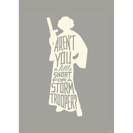 Komar Bild &raquo;Star Wars Silhouette Quotes Leia&laquo; Disney 1 Stk. tlg. Wandbild zur Dekoration im Kinderzimmer - ohne Rahmen bunt Holz, Papier