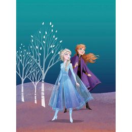 Komar Bild &raquo;Frozen Sisters&laquo; Disney 1 Stk. tlg. Wandbild zur Dekoration im Kinderzimmer - ohne Rahmen bunt Holz, Papier