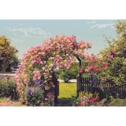 Komar Fototapete &raquo;Rose Garden - Gr&ouml;&szlig;e 368 x 254 cm&laquo; bedruckt glatt Wohnzimmer, Schlafzimmer bunt Papier