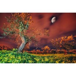 papermoon Fototapete &raquo;Baum in Landschaft&laquo; bunt Vlies