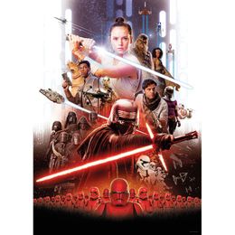 Komar Bild &raquo;Star Wars Movie Poster Rey&laquo; Star Wars 1 Stk. tlg. Wandbild zur Dekoration im Kinderzimmer - ohne Rahmen bunt Holz, Papier