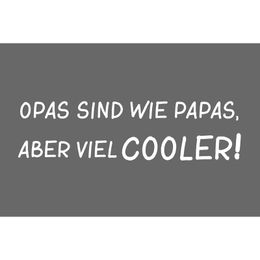 queence Metallbild &raquo;Cooler&laquo; Schriftzug Spr&uuml;che Spr&uuml;che & Texte 1 Stk. tlg. Stahlschild, Blechschild, Spr&uuml;che, Texte, witzig, Opa, Papa wei&szlig; Metall, 