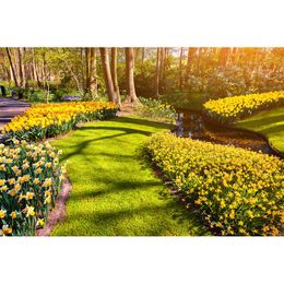 papermoon Fototapete &raquo;Strand mit Bergen&laquo; bunt Vlies