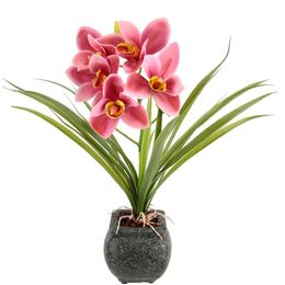 my home Kunstblume &raquo;Orchidee&laquo; Mit Bl&auml;tter im Topf aus Zement K&uuml;nstliche Blume Cymbidium-Orchidee rosa Polyester