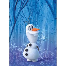 Komar Bild &raquo;Frozen Olaf Crystal&laquo; Disney 1 Stk. tlg. Wandbild zur Dekoration im Kinderzimmer - ohne Rahmen bunt Holz, Papier