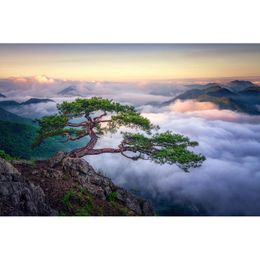 papermoon Fototapete &raquo;Photo-Art TIGER SEO, AUF DEM BERG&laquo; bunt Vlies