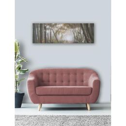 Art for the home LED-Bild &raquo;Waldspaziergang LED 30x90cm&laquo; Natur Wald 1 Stk. tlg. LED-Leinwand Waldspaziergang 30 x 90 cm braun Leinwand