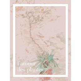 Komar Bild &raquo;PLANT ART L'amour des plantes&laquo; Natur 1 Stk. tlg. Wandbild zur Dekoration - ohne Rahmen rosa Holz, Papier
