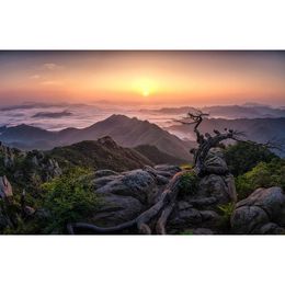 papermoon Fototapete &raquo;Photo-Art TIGER SEO, SONNENAUFGANG AUF DER SPITZE&laquo; bunt Vlies