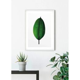 Komar Bild &raquo;Ficus Leaf&laquo; Bl&auml;tter Pflanzen 1 Stk. tlg. Wandbild zur Dekoration - ohne Rahmen bunt Holz, Papier