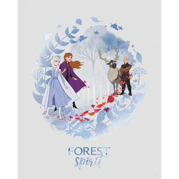 Komar Bild &raquo;Frozen Spirit&laquo; Disney 1 Stk. tlg. Wandbild zur Dekoration im Kinderzimmer - ohne Rahmen bunt Holz, Papier