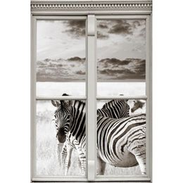 queence Wandsticker &raquo;Zebras&laquo; Wandsticker, Wandbild, selbstklebend, 3D, Fenster grau