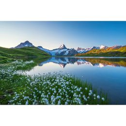 papermoon Fototapete &raquo;LANDSCHAFT-GEBIRGE BERGE SEE ALPEN BLUMEN NATUR TAPETE&laquo; bunt Vlies
