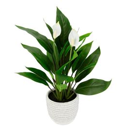 I.GE.A. Kunstpflanze &raquo;Spathiphyllum&laquo; im Topf Anthurie Calla Flamingoblume exotische Pflanze wei&szlig;e Bl&uuml;ten gr&uuml;n