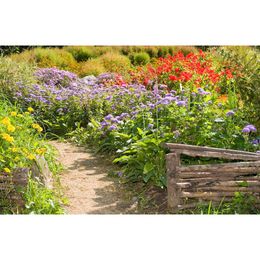 papermoon Fototapete &raquo;WEG IM BLUMENGARTEN&laquo; bunt Vlies