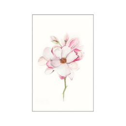 Komar Bild &raquo;Magnolia Blossom&laquo; Blumen 1 Stk. tlg. Wandbild zur Dekoration - ohne Rahmen rosa Holz, Papier
