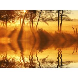 papermoon Fototapete &raquo;D&Auml;MMERUNG-REFLEXION VON B&Auml;UMEN UFER FLUSS SEE SONNE&laquo; bunt Vlies