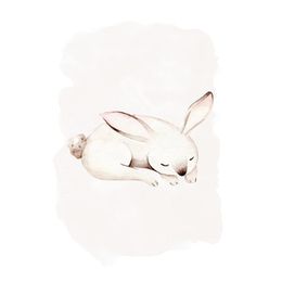 Komar Bild &raquo;Sleepy Bunny&laquo; Natur 1 Stk. tlg. Wandbild zur Dekoration - ohne Rahmen schwarz Holz, Papier