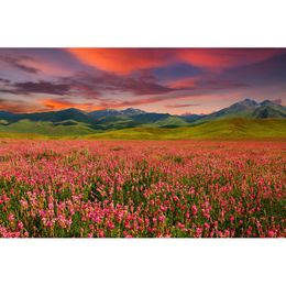 papermoon Fototapete &raquo;GEBIRGE-FELD BLUMEN BERGE WIESE SONNE WALD FLUSS WOLKEN&laquo; bunt Vlies