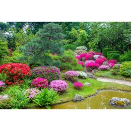 papermoon Fototapete &raquo;GARTEN-BLUMEN B&Auml;UME PFLANZEN STEINE WALD PARK BL&Uuml;TEN&laquo; bunt Vlies
