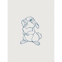 Komar Bild &raquo;Hey Thumper&laquo; Natur 1 Stk. tlg. Wandbild zur Dekoration im Kinderzimmer - ohne Rahmen wei&szlig; Holz, Papier